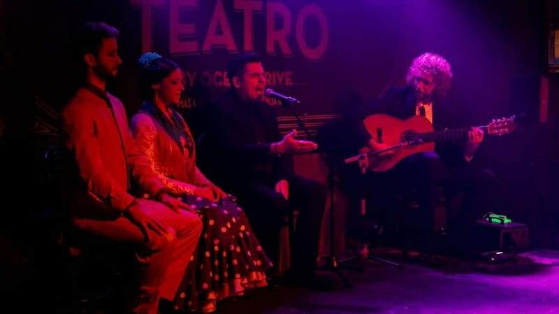 Fuengirola: Flamenco Show - What the Experience Includes and Its Value
