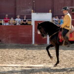 Fuengirola: Spanish Horse Show with Optional Dinner/Flamenco - A Deep Dive into the Experience