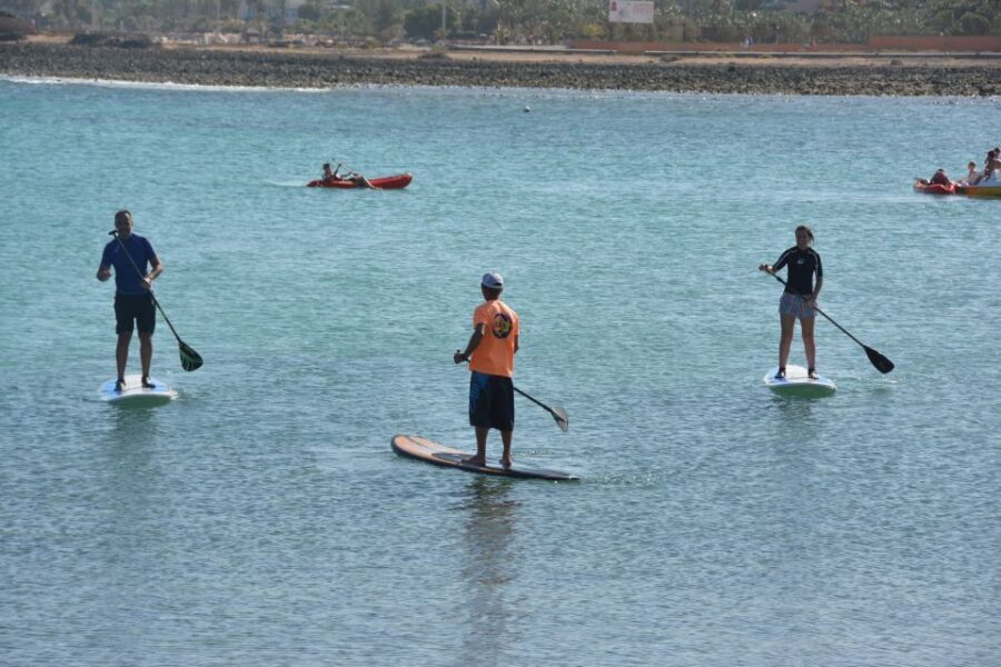 Fuerteventura: 1.5-Hour SUP Course - Caleta de Fuste - Authentic Experiences and Peer Feedback