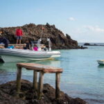 Fuerteventura: 1 hour private mini-cruise on Lobos Island - The Practicalities: What to Expect