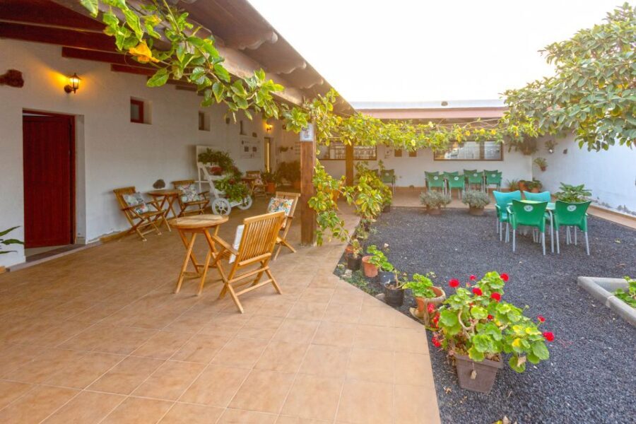 Fuerteventura: Artisan Goat's Cheese Making at Local Farm - The Value of This Experience