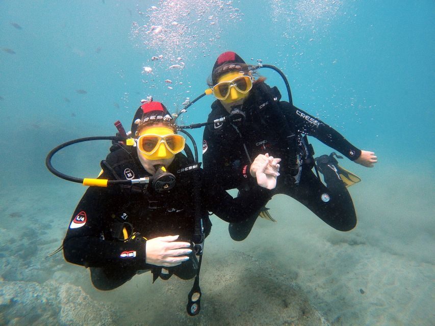 Fuerteventura: Discover Scuba Diving - What to Expect: From Pickup to Post-Dive
