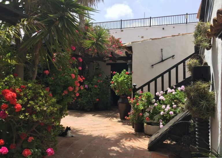 Fuerteventura: Discovery Tour - Who Will Love This Tour?