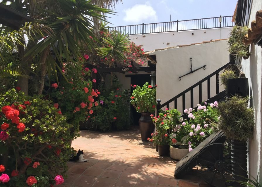 Fuerteventura: Discovery Tour - Who Will Love This Tour?