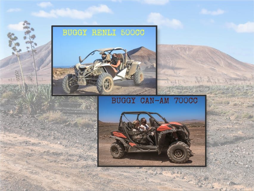 Fuerteventura: Dune Buggy Tour in Northern Fuerteventura - Authentic Experiences and Real Feedback