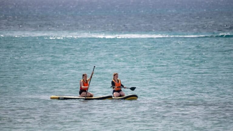 Fuerteventura: Explore Costa Calma Bay on a SUP Board! - The Itinerary: A Simple but Enjoyable Water Escape