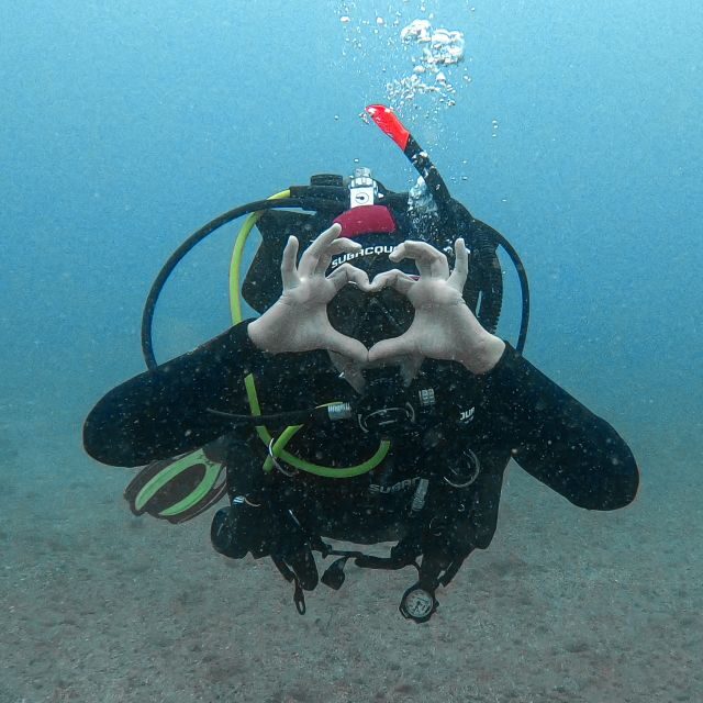 Fuerteventura: Introductory Dive in La Lajita with Pickup - Detailed Breakdown of the Tour Itinerary