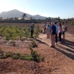 Fuerteventura: Tapas and Local Life Guided Tour - Who Will Love This Tour?