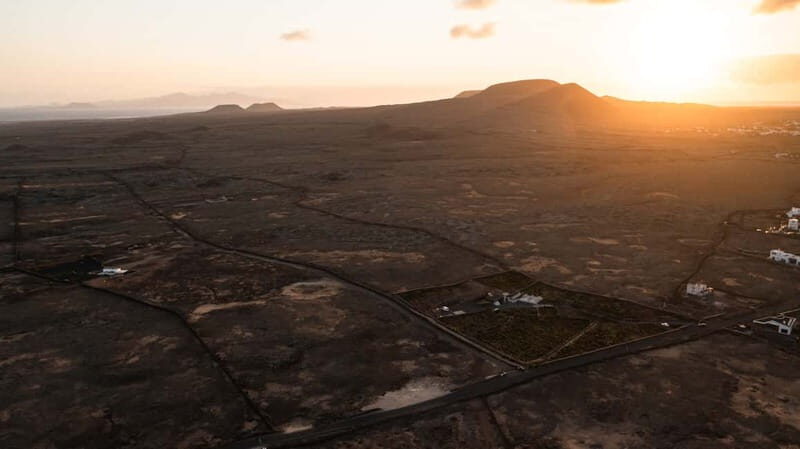 Fuerteventura: Tour & tasting at Conatvs Winery - Who Will Love This Tour?