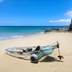 Fuerteventura: Transparent Electric Kayaks with Guide - What Makes the Technology and Equipment Stand Out?