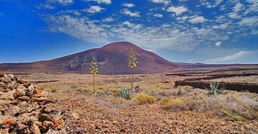 Fuerteventura: Trekking Tour Through the North of the Island - Whats Included and Whats Not