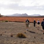 Fuerteventura: volcanic hike to the crater edge - The Logistics and Practicalities