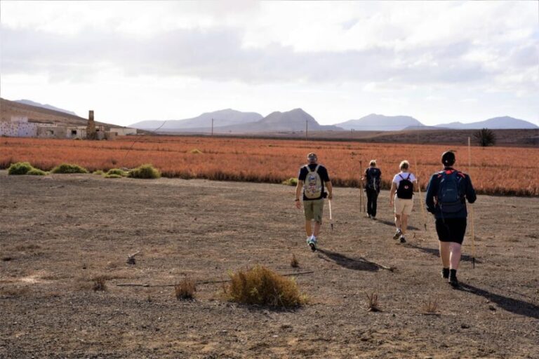Fuerteventura: volcanic hike to the crater edge - The Logistics and Practicalities