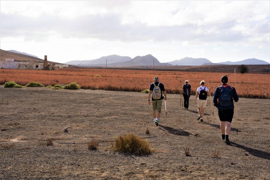 Fuerteventura: volcanic hike to the crater edge - The Logistics and Practicalities