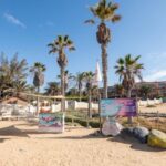 Fuerteventura: Windsurfing Taster in Costa Calma Bay! - The Itinerary: What to Expect
