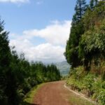 Full-Day 4x4 Nordeste Azores Tour from Ponta Delgada - An Overview of the Itinerary