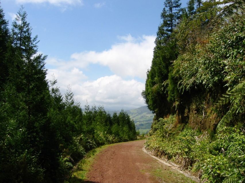 Full-Day 4x4 Nordeste Azores Tour from Ponta Delgada - An Overview of the Itinerary