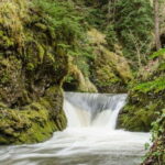 Full Day Adventure in Borjomi! - A Careful Look at the Tour Experience