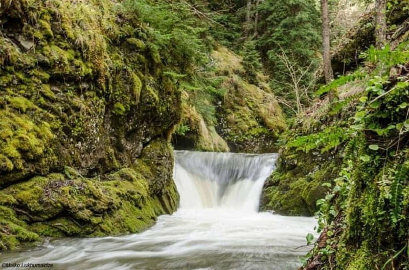 Full Day Adventure in Borjomi! - A Careful Look at the Tour Experience