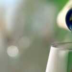 Full-Day Barbaresco Wine Tour with Truffle Hunting and Lunch - How the Experience Fits for Different Travelers