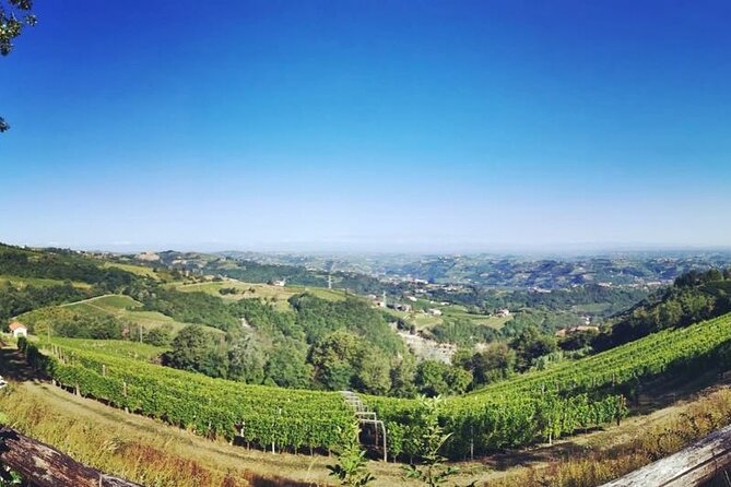 Full day Barolo&Barbaresco Wine Tour from Milano with a local winemaker - Key Points