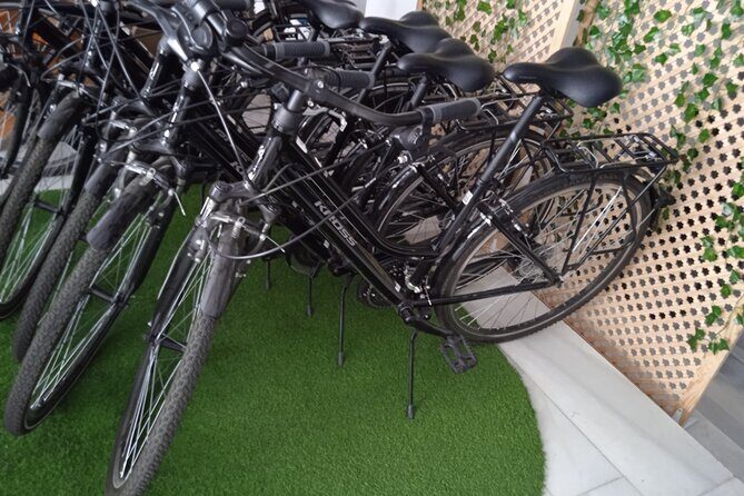 Full Day Bike Rental in Seville - Why the River Guadalquivir Is the Highlight
