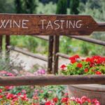 Full-Day Chianti Tour by Vespa Scooter from San Gimignano - How the Price Reflects the Value