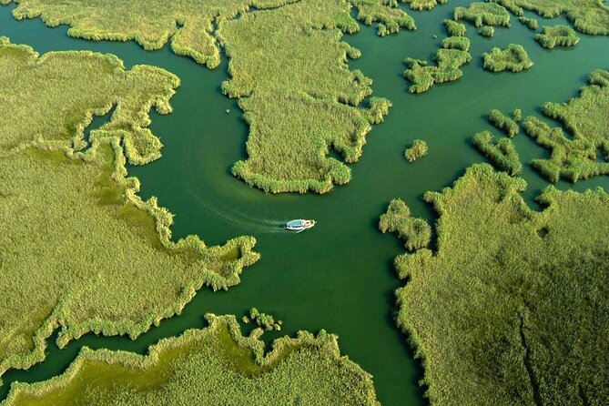 Full Day Dalyan (Turtle Beach) From Bodrum - Why You Might Want to Book This Tour
