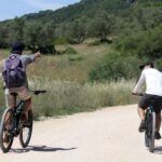 Full-Day Electric Bike Tour: Arrábida Nature Park - Why This Tour Offers Great Value