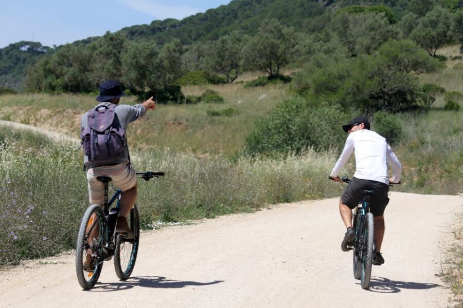 Full-Day Electric Bike Tour: Arrábida Nature Park - Why This Tour Offers Great Value