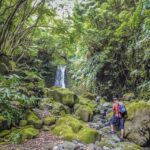Full-Day Faial da Terra + Nordeste from Ponta Delgada - What’s Included and What’s Not