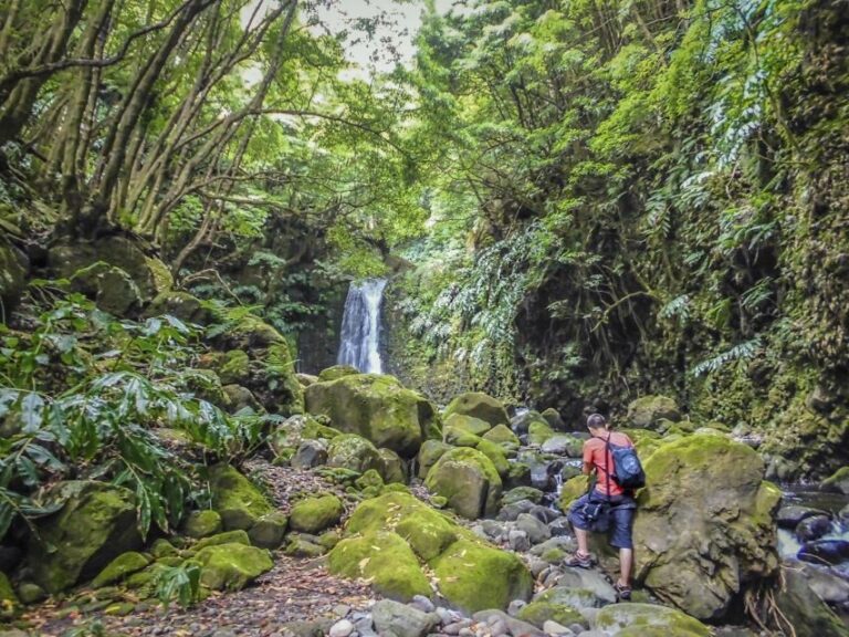 Full-Day Faial da Terra + Nordeste from Ponta Delgada - What’s Included and What’s Not