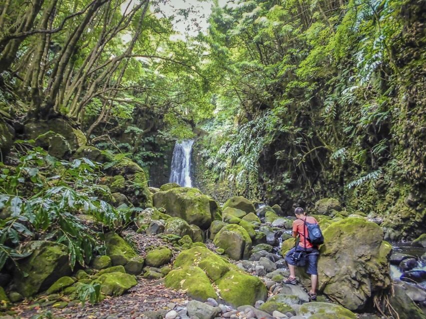 Full-Day Faial da Terra + Nordeste from Ponta Delgada - What’s Included and What’s Not