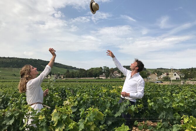Full day from Dijon: the most of Burgundy with lunch - A Complete Guide to the Full Day from Dijon: The Most of Burgundy with Lunch