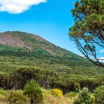 Full-day from Naples: Pompeii & Vesuvius with Italian Lunch - An In-Depth Look at the Pompeii & Vesuvius Tour