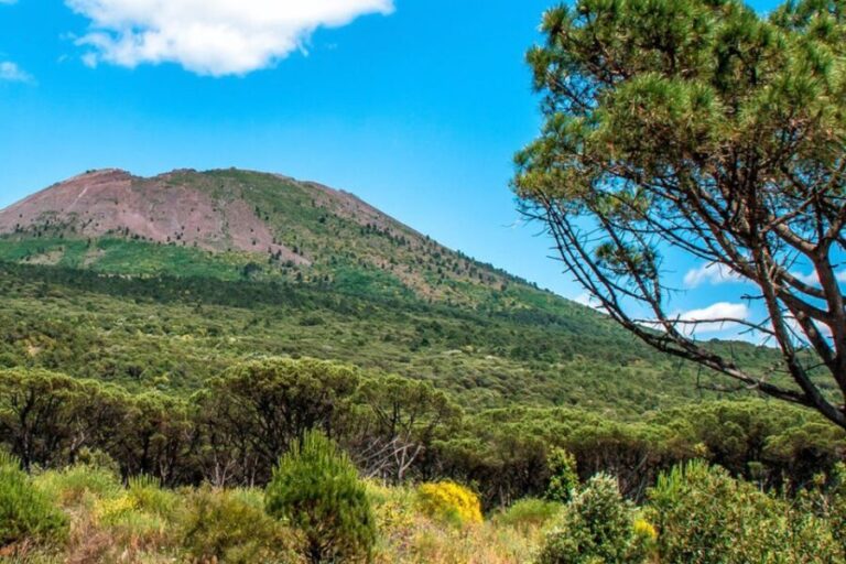 Full-day from Naples: Pompeii & Vesuvius with Italian Lunch - An In-Depth Look at the Pompeii & Vesuvius Tour