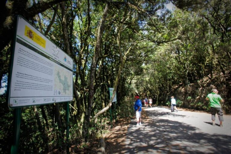 Full-Day Gomera Jeep Safari Excursion from Arona - The Whistled Language: A Cultural Touchstone