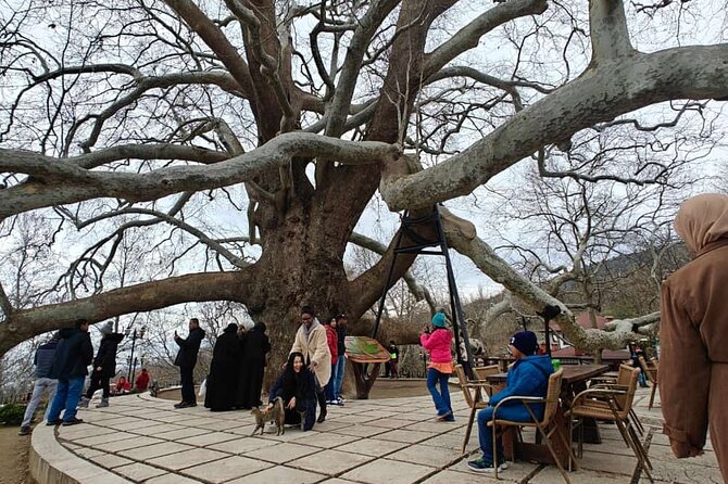 Full Day Guided Tour to Bursa and Uludag - The Breakdown of the Tour Experience