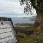 Full Day Guided Tour to Furnas with Lunch Included - Whats Included and Whats Not