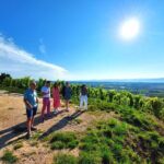Full Day Guided Wine Tour with Tasting and Lunch - What Sets This Tour Apart: Quality and Authenticity