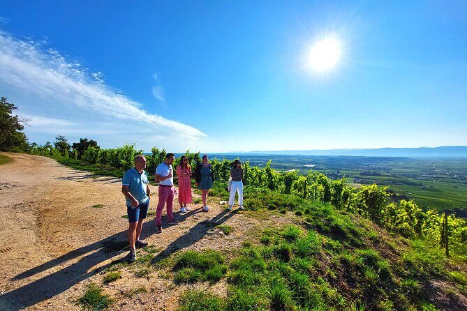 Full Day Guided Wine Tour with Tasting and Lunch - What Sets This Tour Apart: Quality and Authenticity