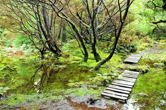 Full-Day Hiking Tour in Terceira Island - Mistérios Negros - Key Points