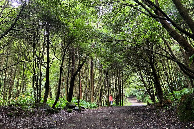 Full Day Hiking Trail Janela do Inferno + Caldeira Velha - Exploring São Miguel’s Wild Side: Janela do Inferno Hike + Caldeira Velha