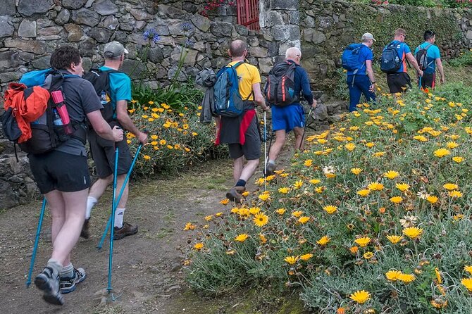 Full Day - Hiking Trail Ribeira Funda-Maia - Introduction to the Ribeira Funda-Maia Hiking Experience