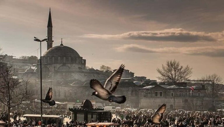 Full Day Istanbul 1, 2 or 3-Day Private City Guided Tour - What Makes This Tour Stand Out?