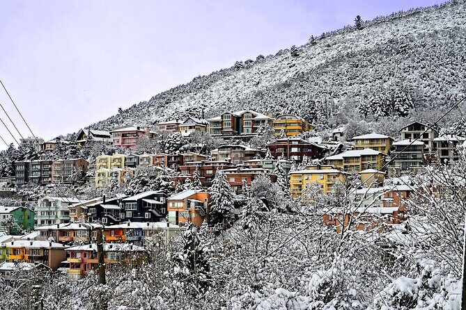 Full-Day Istanbul to Bursa Excursion With Cable Car - Transportation and Group Size