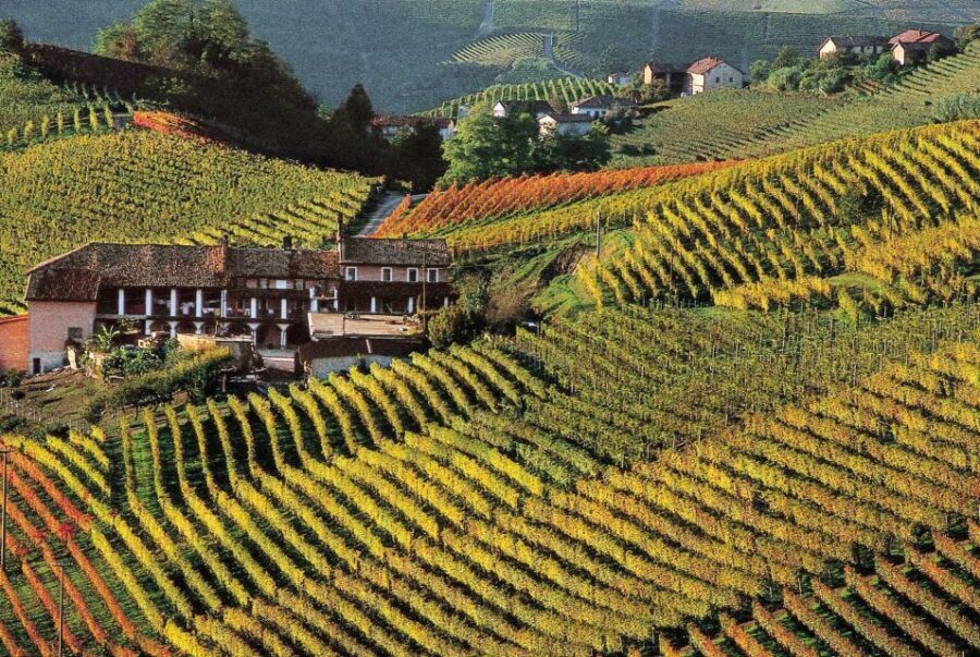 Full-Day Langhe Region Tour with Wine Tasting Experience - Why This Tour Excels