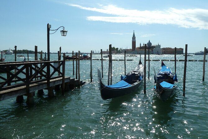 Full day luxury trip to Venice with private car and driver from Milan - Who Will Love This Tour?