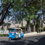 Full Day Madeira Island Private Discovery by Tuk Tuk - What Makes This Tour Special