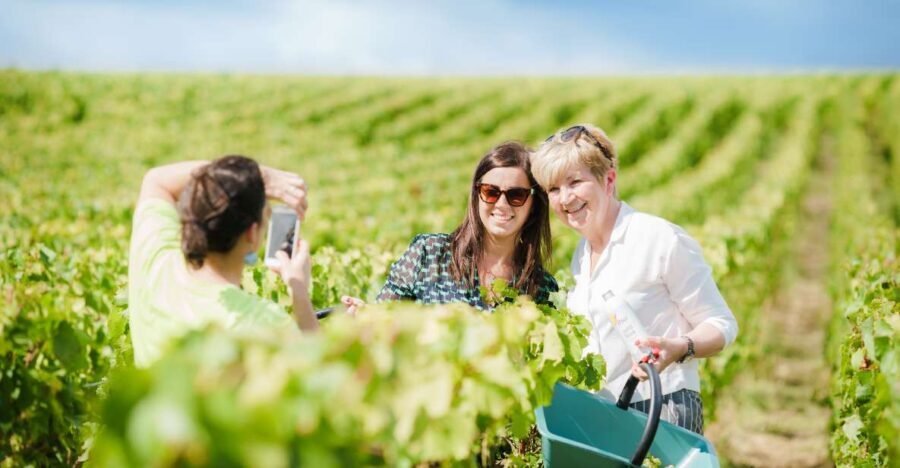 Full Day Pommery Small Group Tour - What Travelers Say